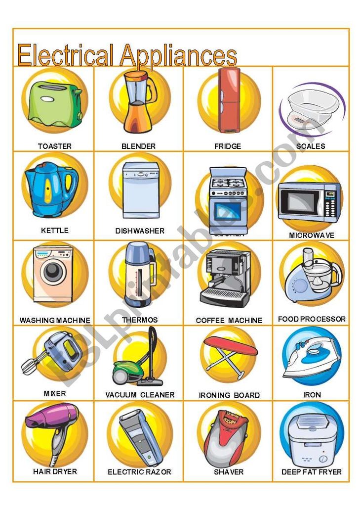 Everyday Electrical Appliances: Must-Have Gadgets for Modern Living ...
